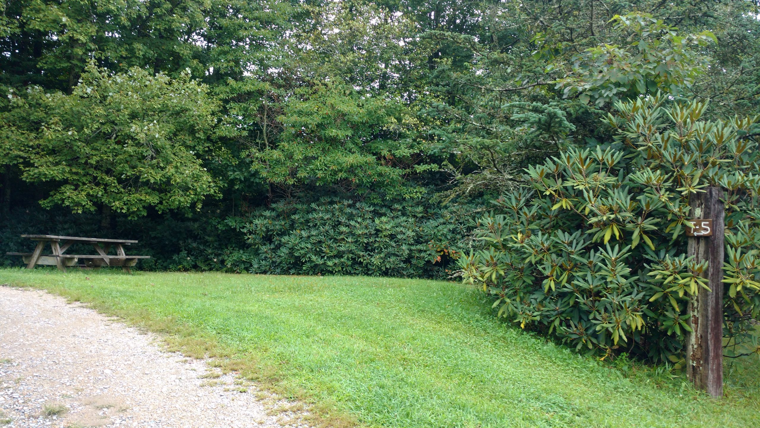 Virginia Creeper Trail Creeper Trail Campground